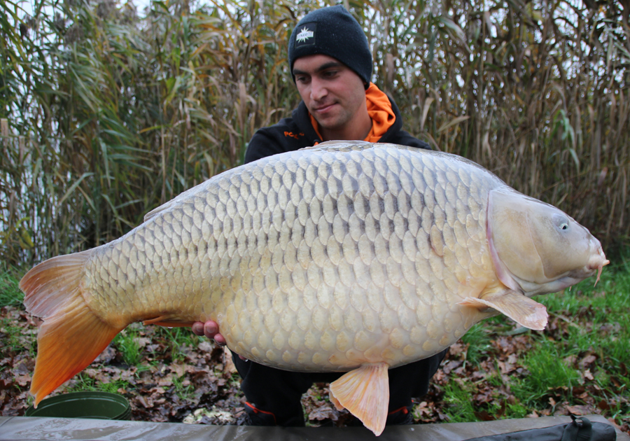 206-kg-common - Dynamite Baits Germany