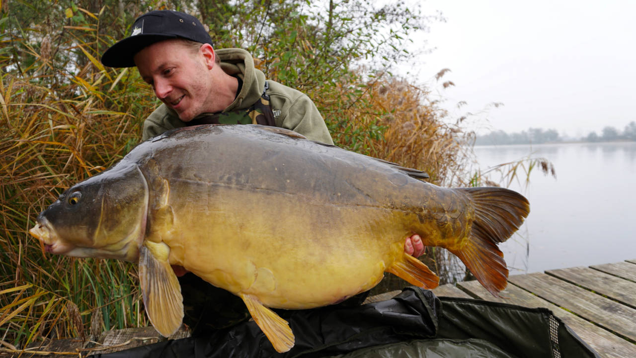 18 Stunden Indian Summer - Dynamite Baits Germany