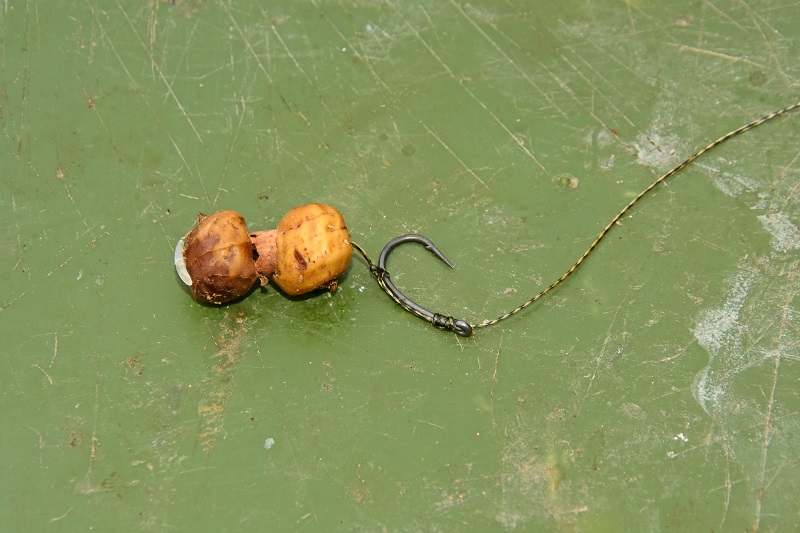 Adams-dumbell-tiger-nut-rig - Dynamite Baits Spain