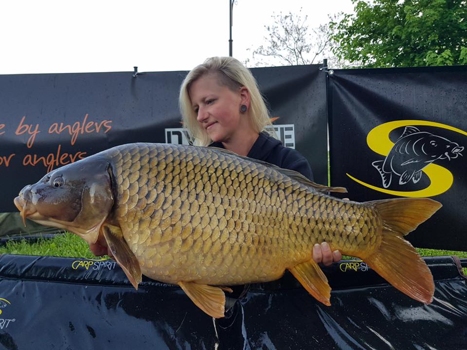 A review of the 2018 IBCC Balaton carp fishing tournament - Dynamite ...