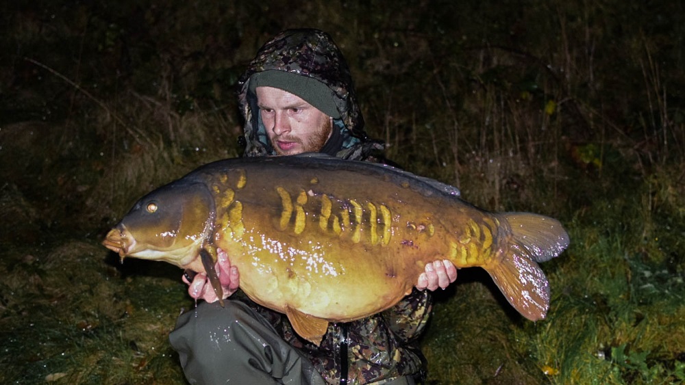 resize-2-mirror - Dynamite Baits Poland