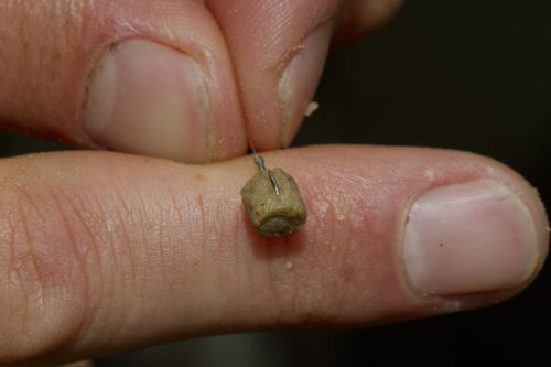 Using expanders pellets & how to hook them! – Rob Wootton - Dynamite Baits