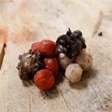 Hookbaits Archives - Dynamite Baits