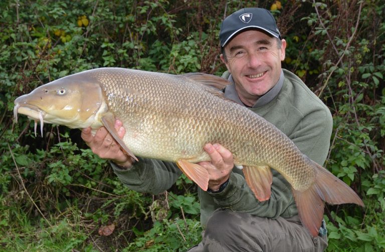 Nine Top Barbel Hook and Feed Bait Combinations - Dynamite Baits
