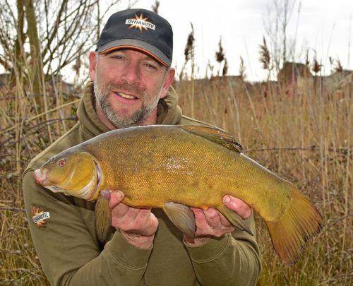 Early season tench fishing tips - Dynamite Baits