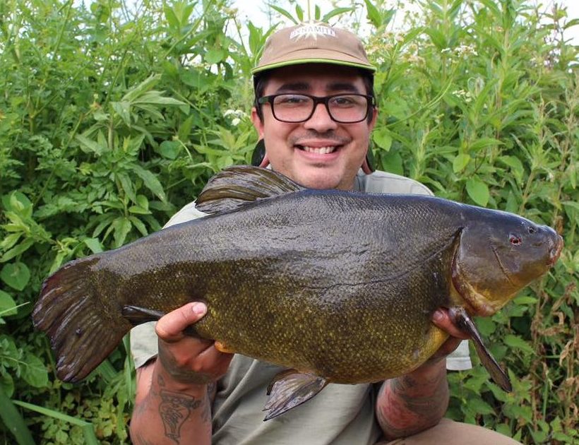 **VIDEO** Late Season Tench Fishing Tips - Dynamite Baits