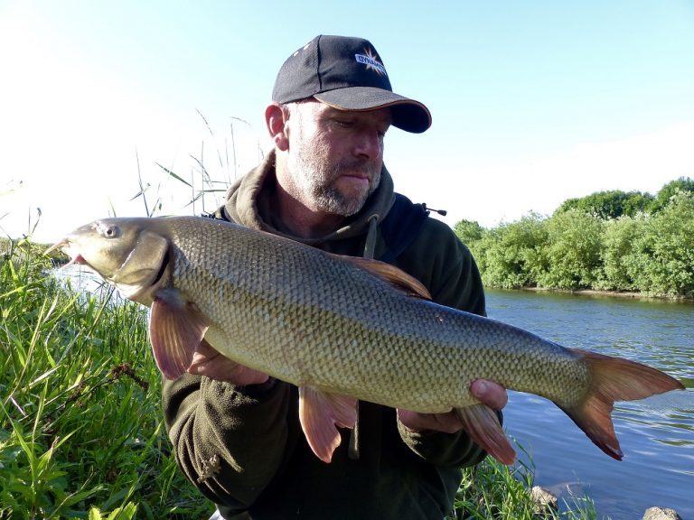 Five Top Barbel Fishing Tips - Dynamite Baits