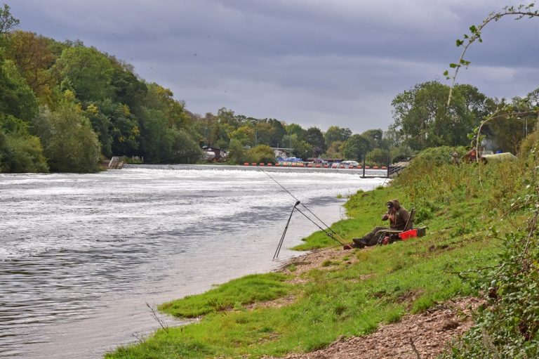 Five Top Barbel Fishing Tips - Dynamite Baits