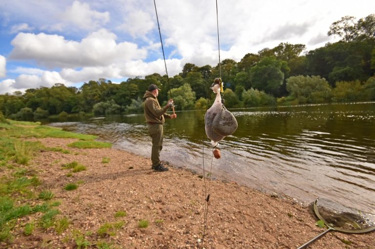 Five Top Barbel Fishing Tips - Dynamite Baits