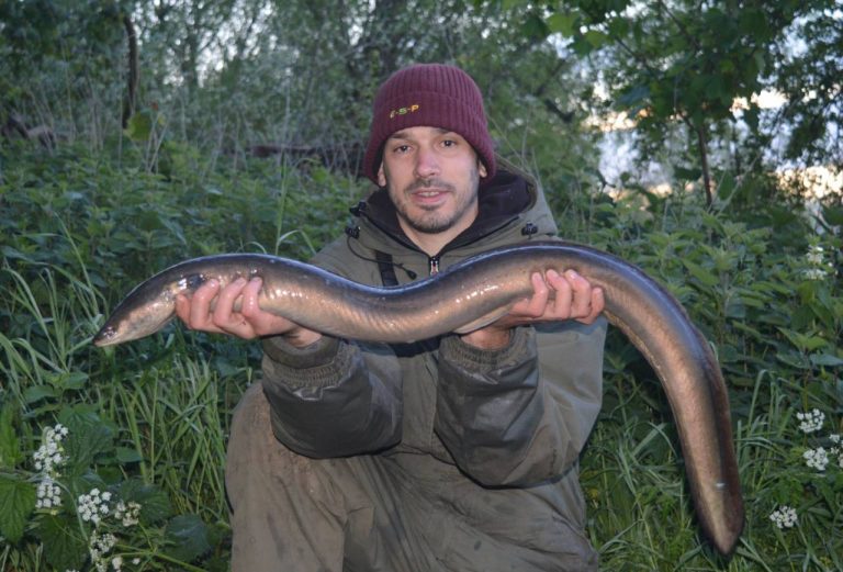 Chasing Big Eels – Tales of a Specimen Hunter - Dynamite Baits