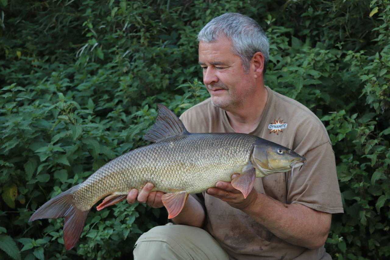 Tony Gibson’s Specimen Diary – Autumn 2019 - Dynamite Baits
