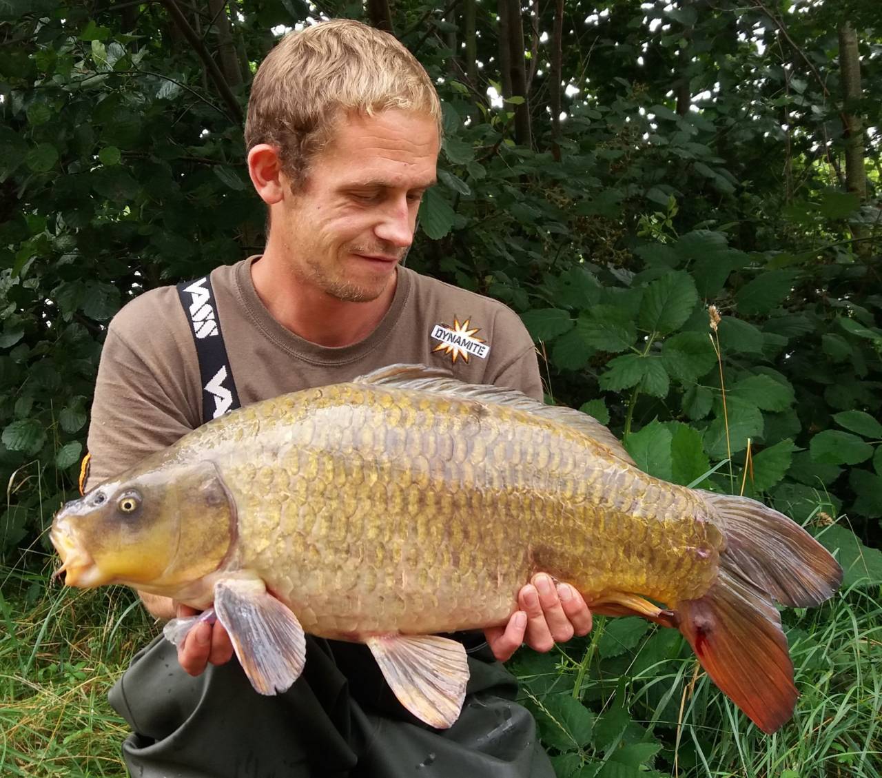 Chasing Dreams – The story of a River Thames Carper PART 3 - Dynamite Baits