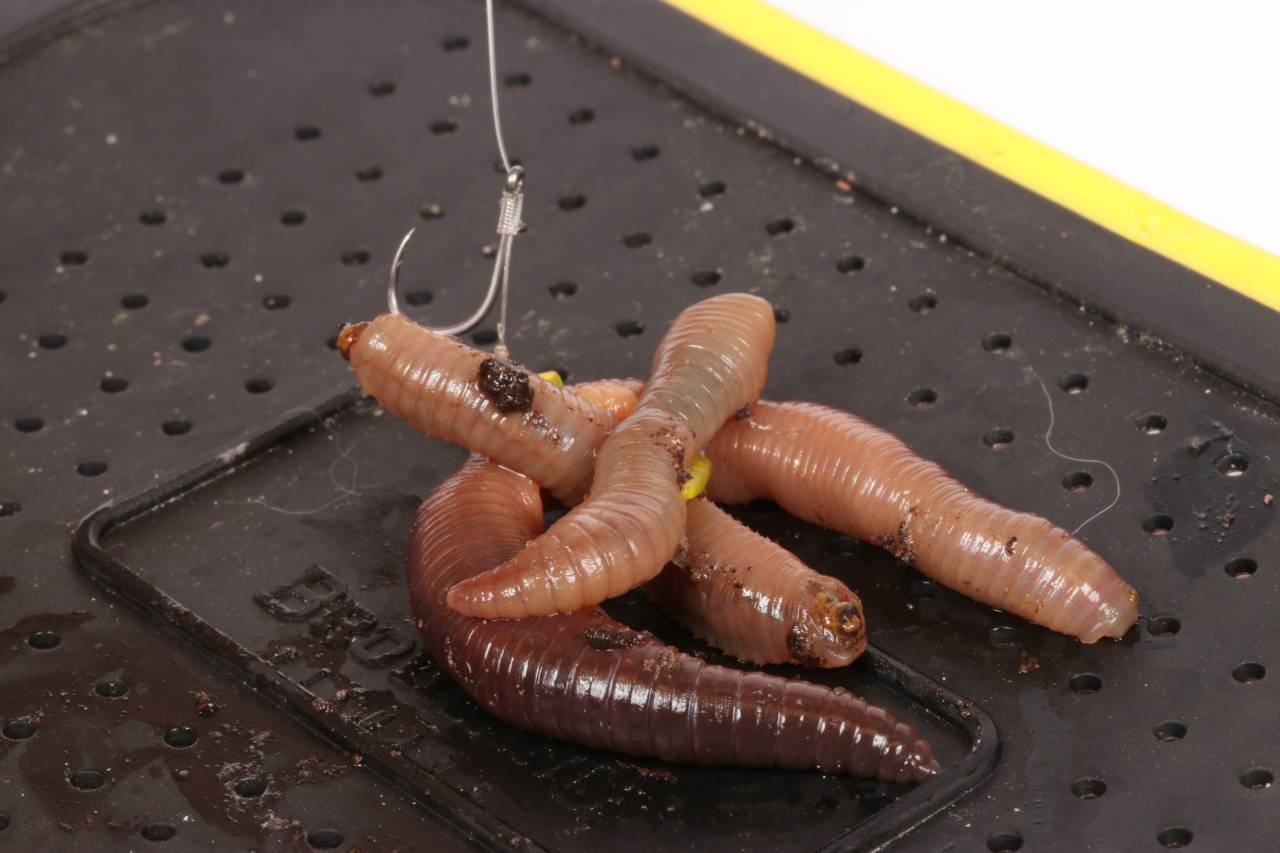 Paul Garner’s Bait Tips for a Bag of Spring Bream - Dynamite Baits