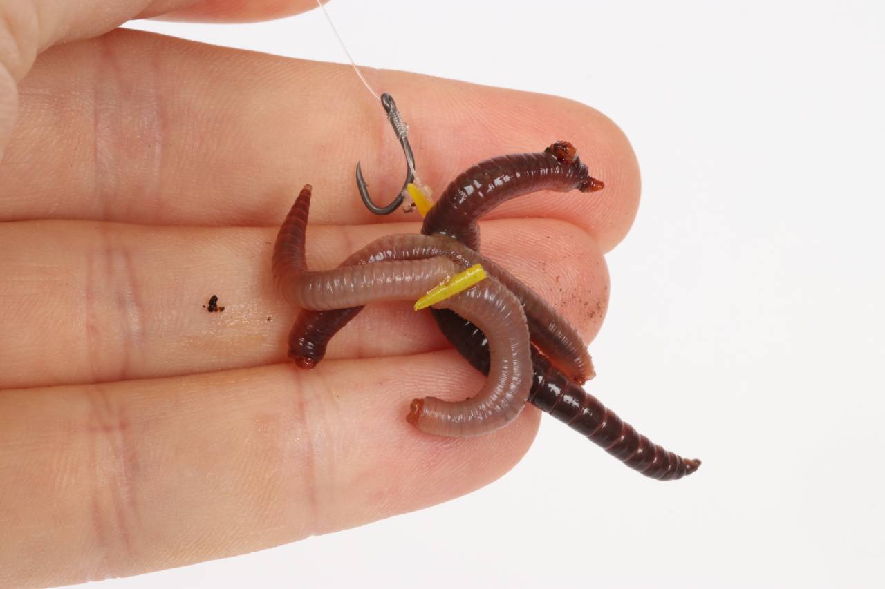 Paul Garner’s Top Baits For Tench - Dynamite Baits