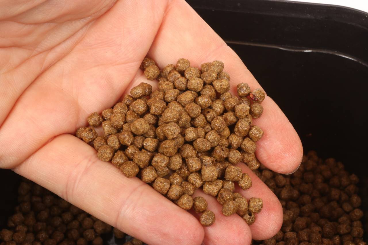 Paul Garner’s Floater Fishing Tips - Dynamite Baits