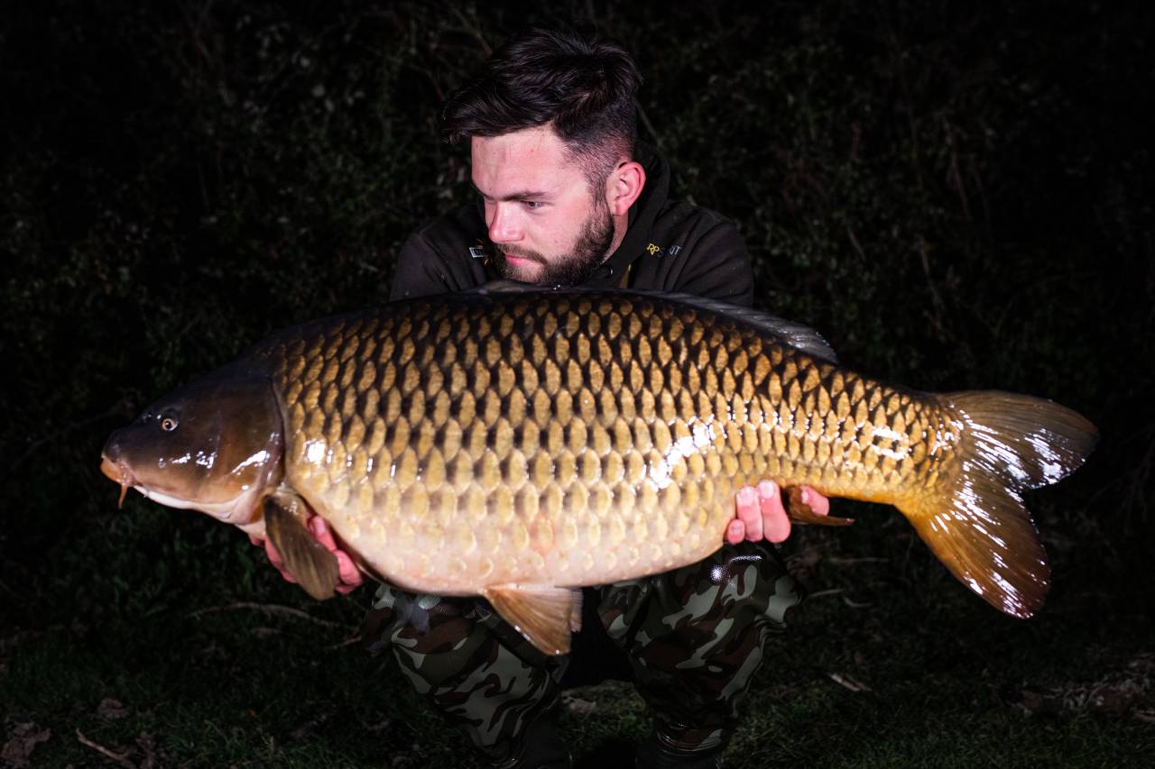 Lord of the Manor: Steve Coe’s Incredible Spring at Linear’s Manor Farm ...
