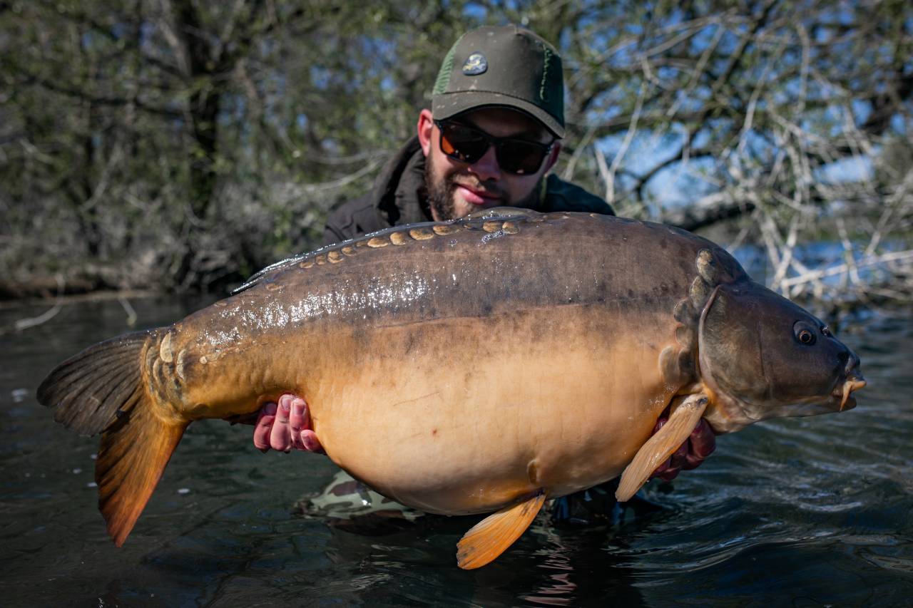 Lord of the Manor: Steve Coe's Incredible Spring at Linear's Manor Farm ...