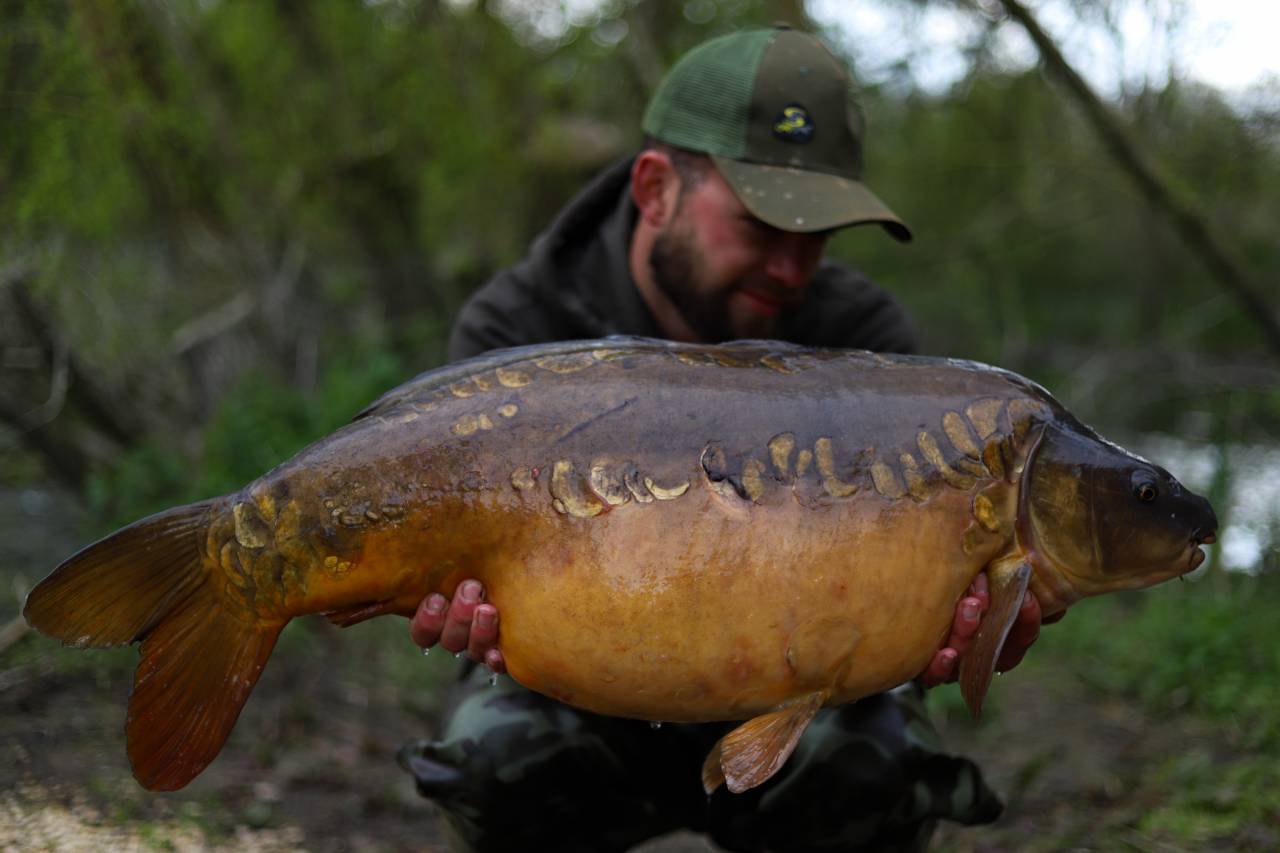 Lord of the Manor: Steve Coe’s Incredible Spring at Linear’s Manor Farm ...