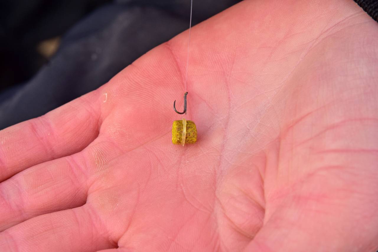 Archie Braddock: How To Catch Big River Roach With Pellets - Dynamite Baits