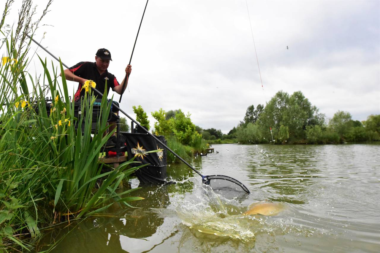 Margin Fishing with the NEW Swim Stim Margin Mix - Dynamite Baits