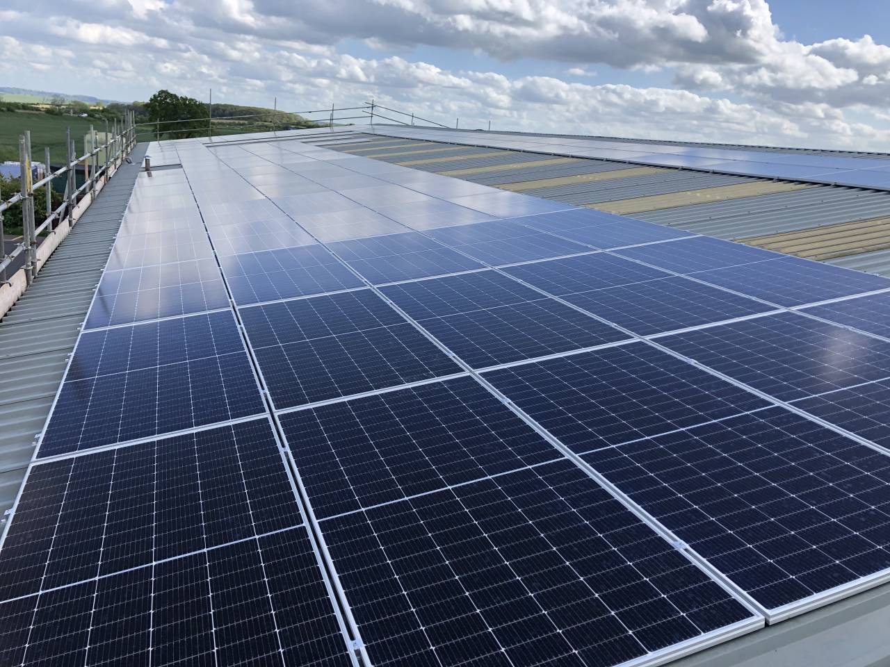 Dynamite Goes Solar - Dynamite Baits