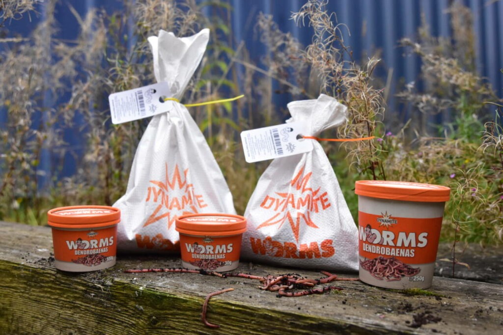Dynamite’s Brand New Worm Range! - Dynamite Baits